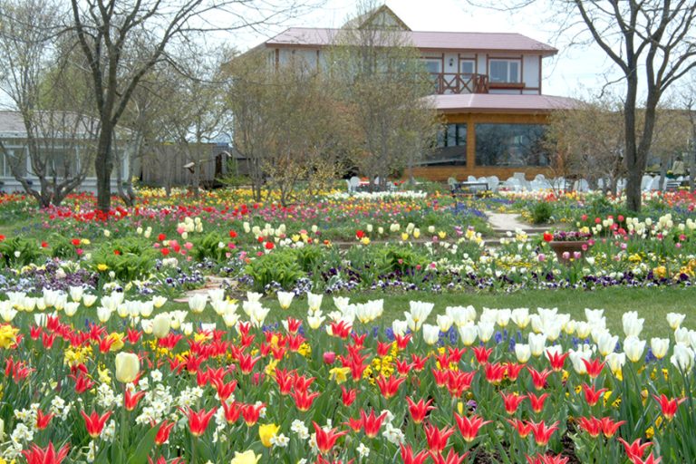 Tokachi Partnership – Kedah Food Valley Tourism Portal